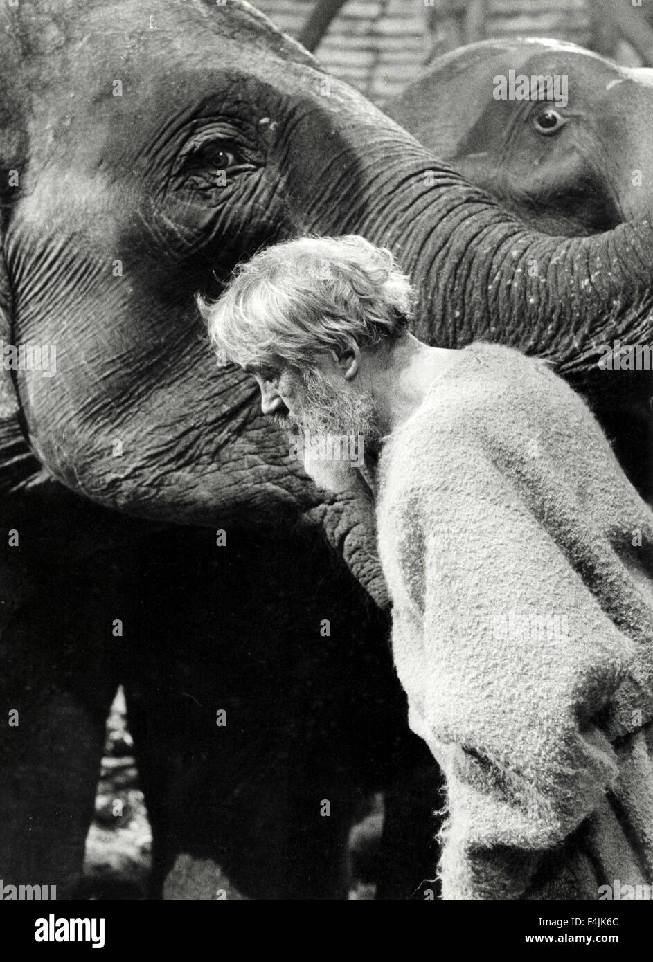 Huston Stock Photos & Huston Stock Images - Alamy