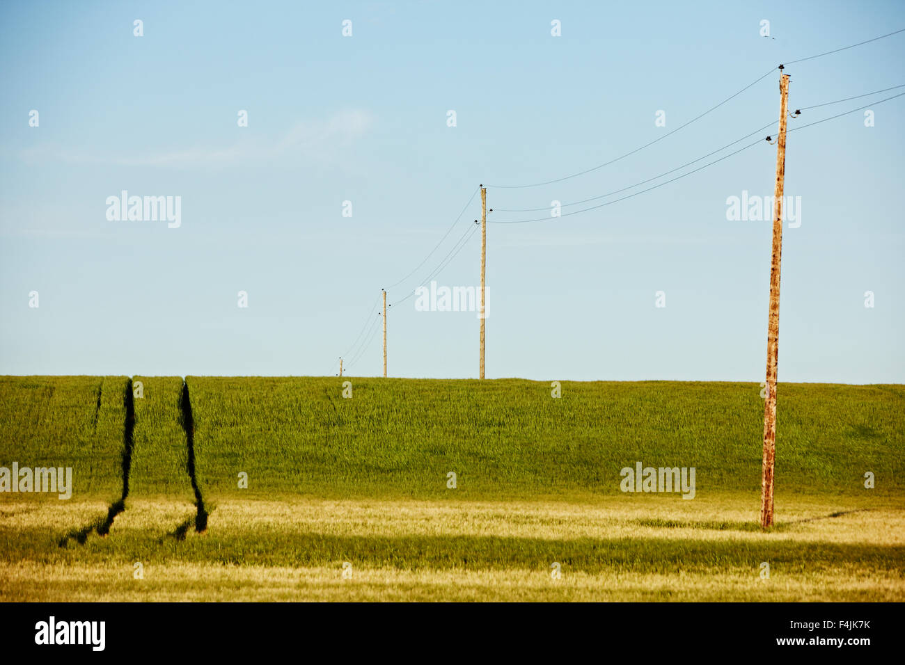 Tracks through field Stock Photo - Alamy