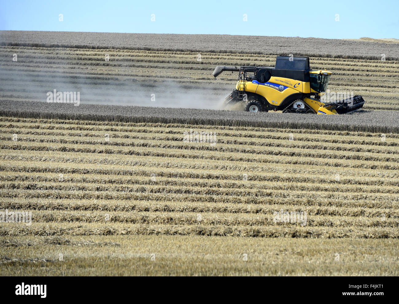 Agricultural combine harvester collect wheat hi-res stock photography ...