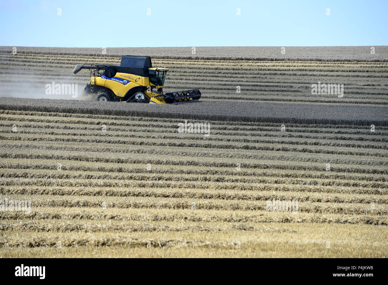 Combine Harvester, harvesting crops with a combine harvester, Britain ...