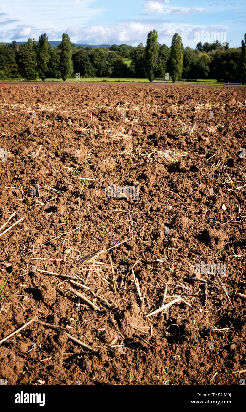 Soil terrain hi-res stock photography and images - Alamy