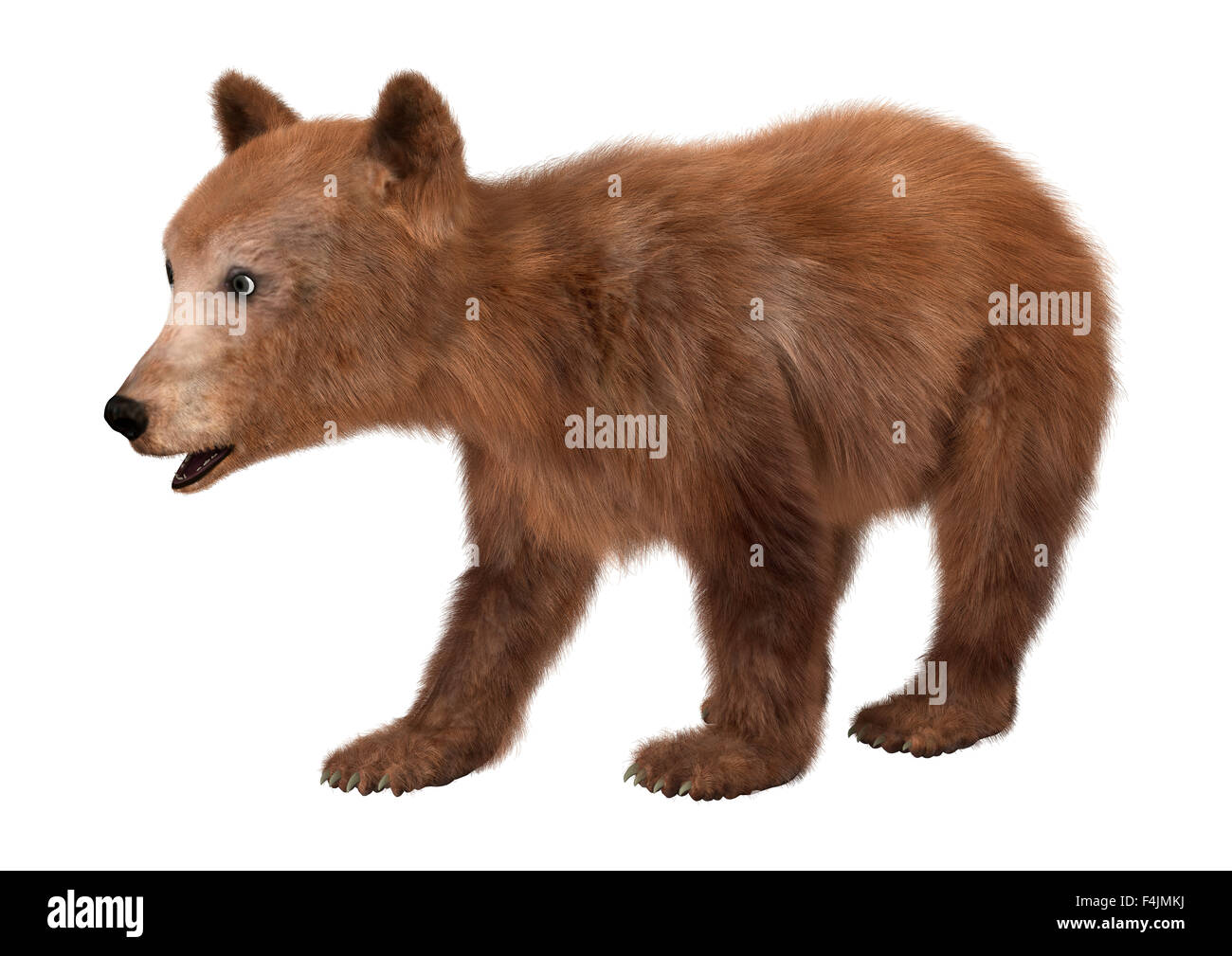 3d digital render brown bear hi-res stock photography and images - Alamy