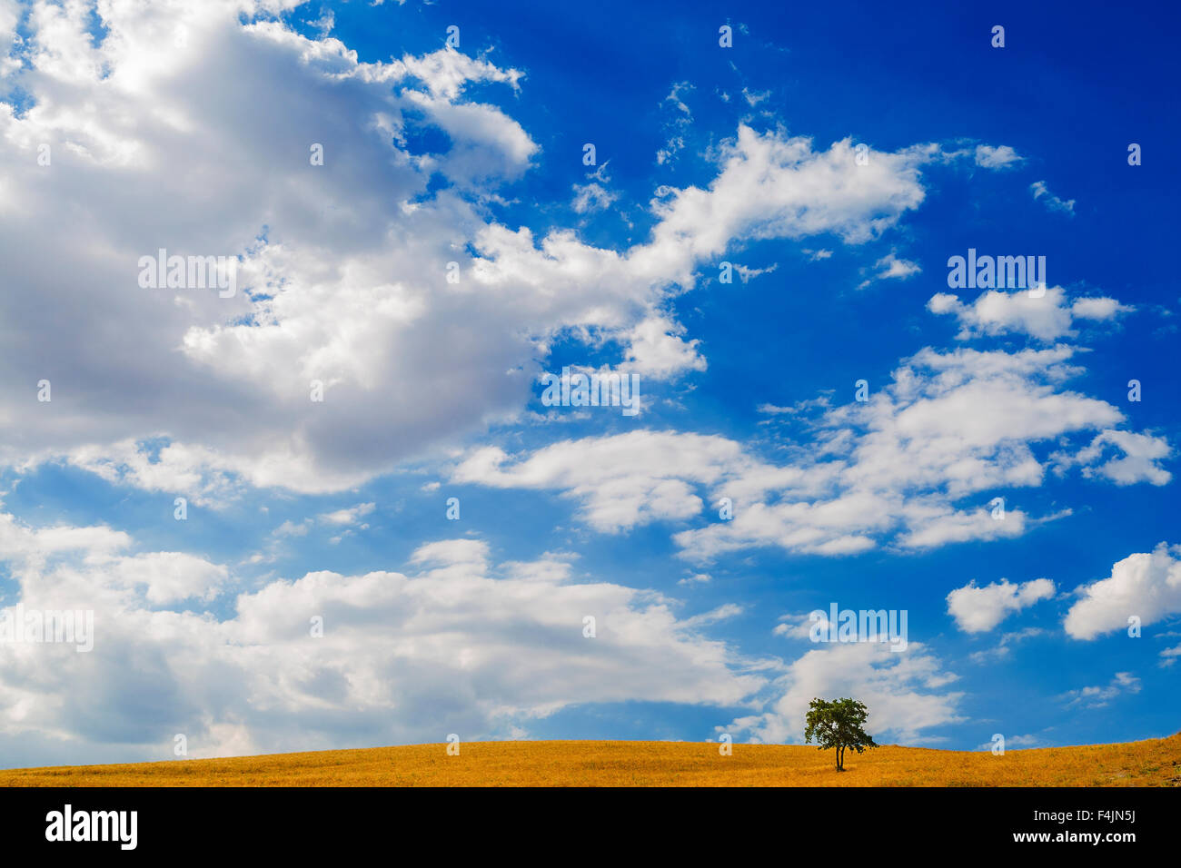Maragheh hi-res stock photography and images - Alamy