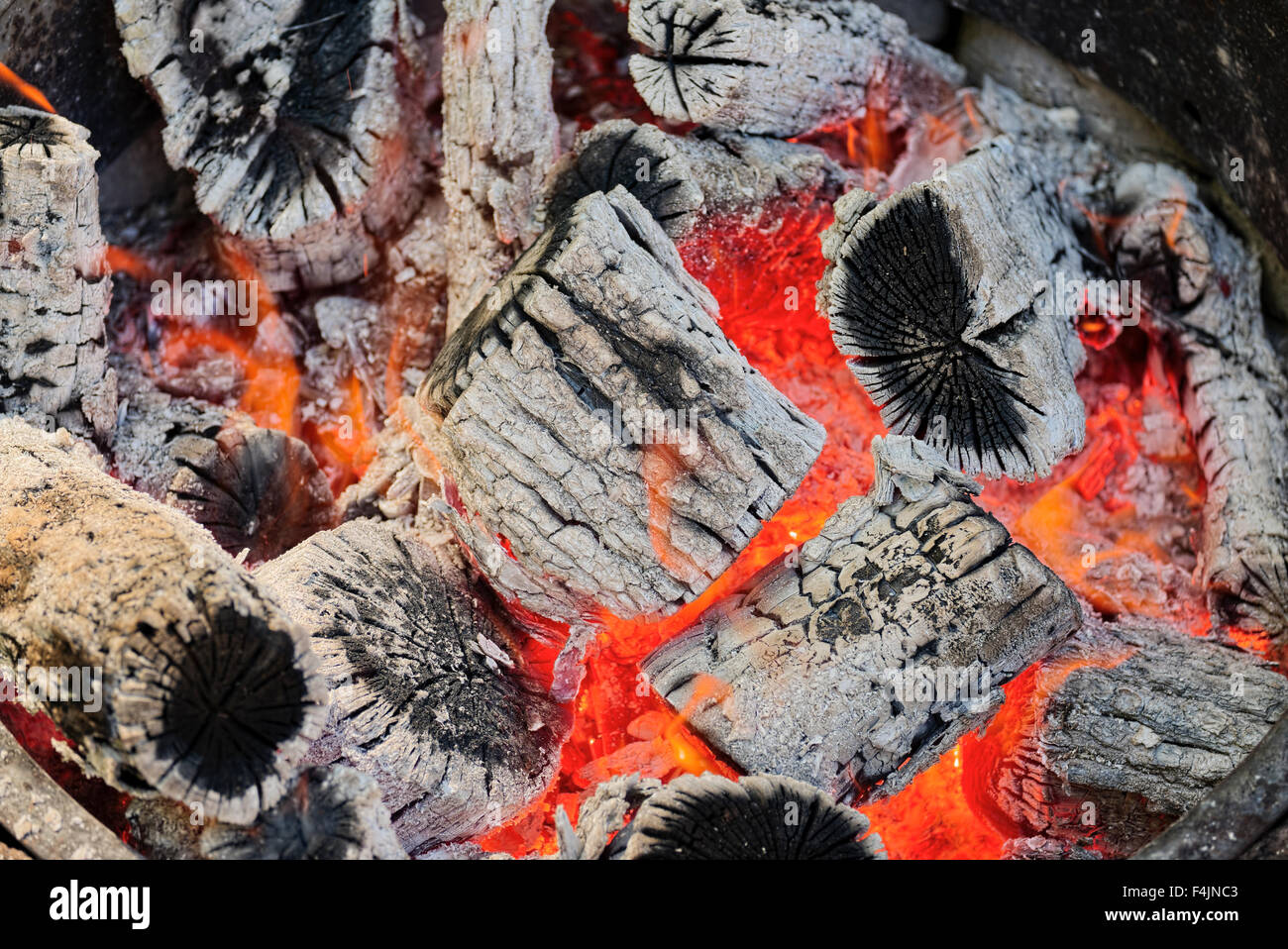 Campfire burning wood hi-res stock photography and images - Alamy