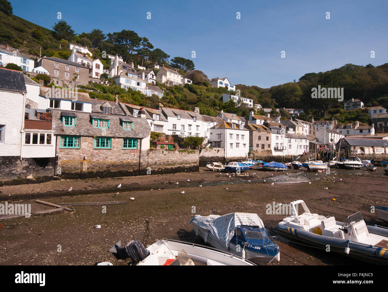 View Over The Harbour Of The Cornish Fishing Village Of Polperro ...