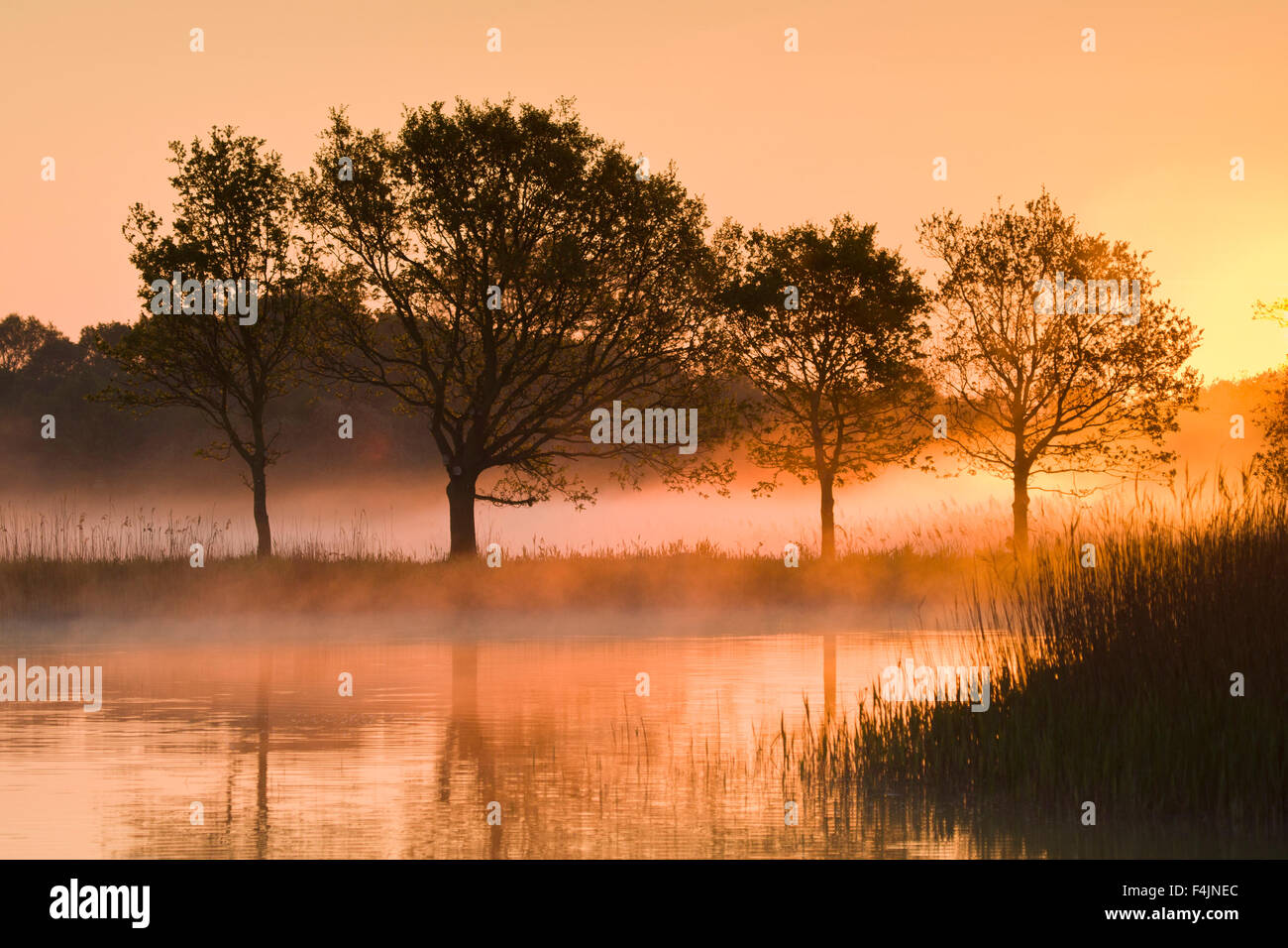 Hickling broad norfolk hi-res stock photography and images - Alamy