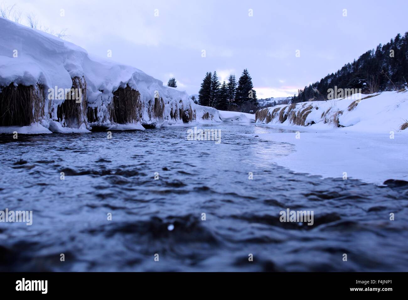 Freezing winter Colorado river Stock Photo - Alamy