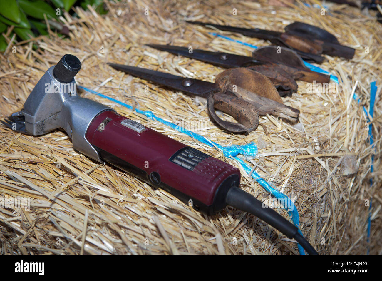 Electric and manual sheep shearing tools over straw bale Stock Photo ...