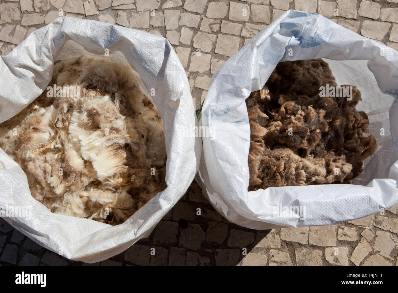 Sheeps fleece hi-res stock photography and images - Alamy