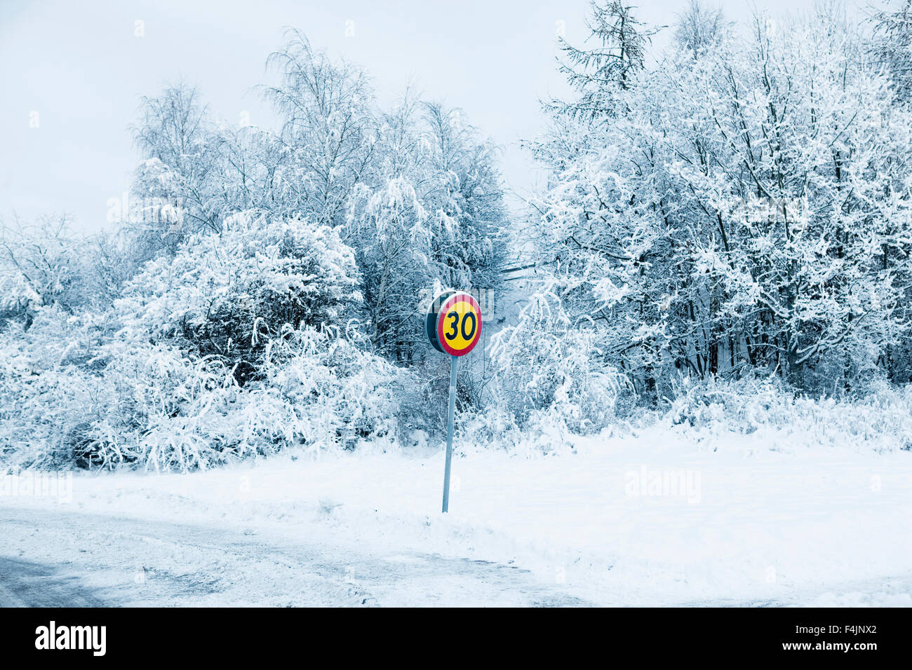 Sweden, speed limit sign in winter scenery Stock Photo - Alamy