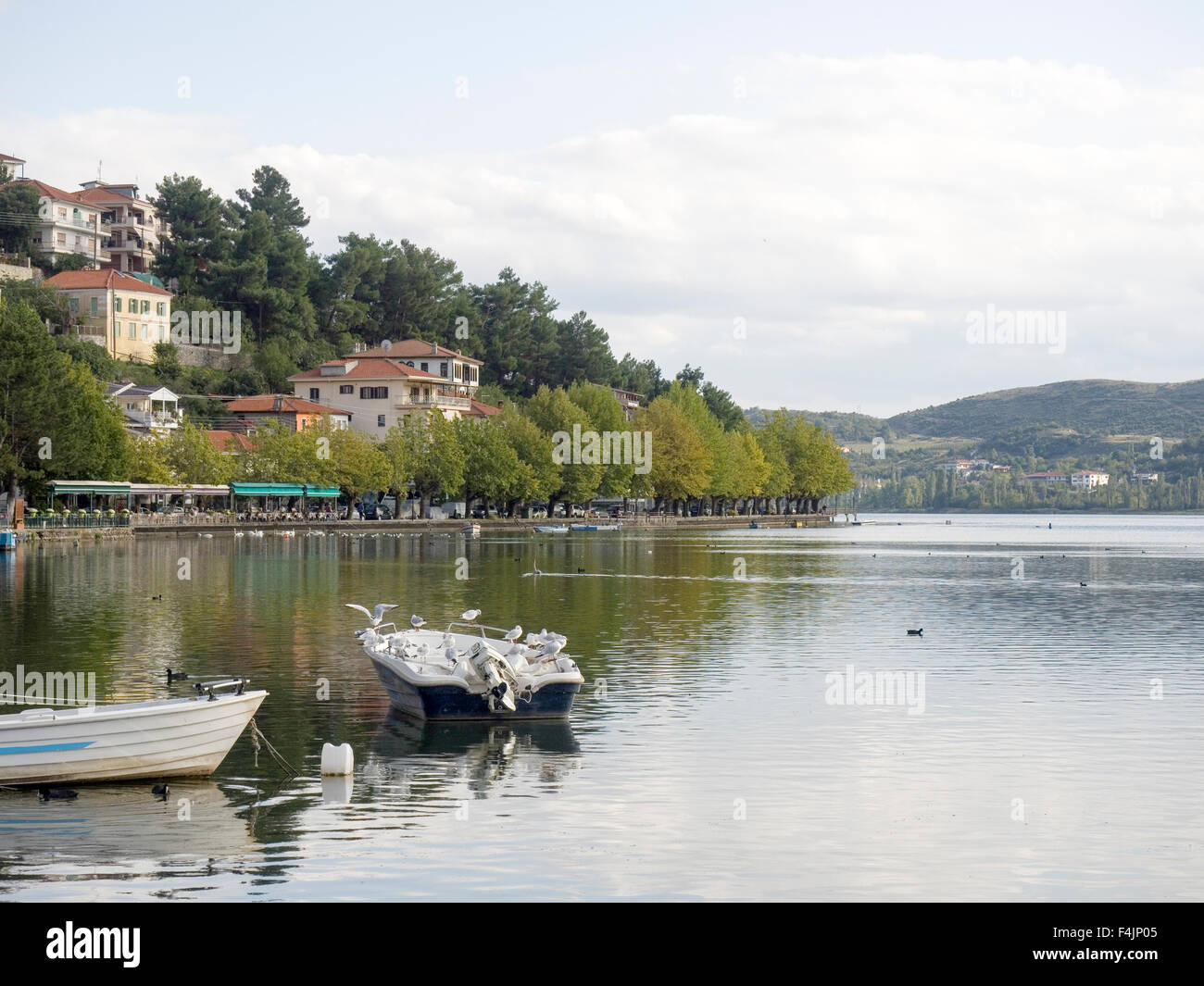 Katoria hi-res stock photography and images - Alamy