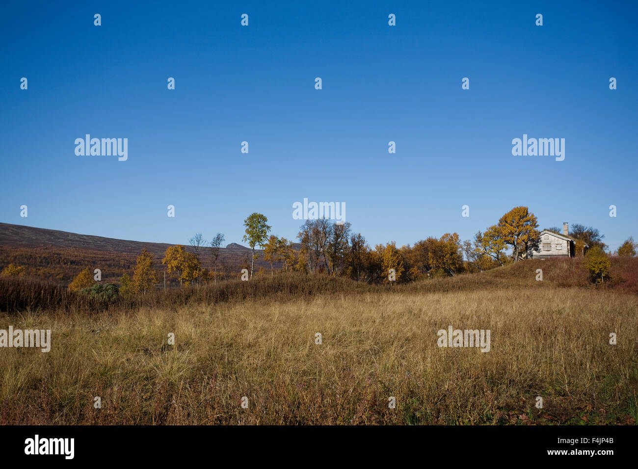Rural cottage in field Stock Photo - Alamy