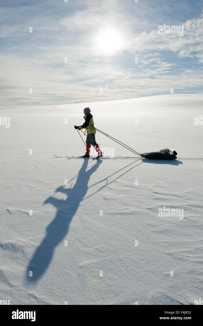 Woman pulling sledge on snow covered landscape Stock Photo - Alamy