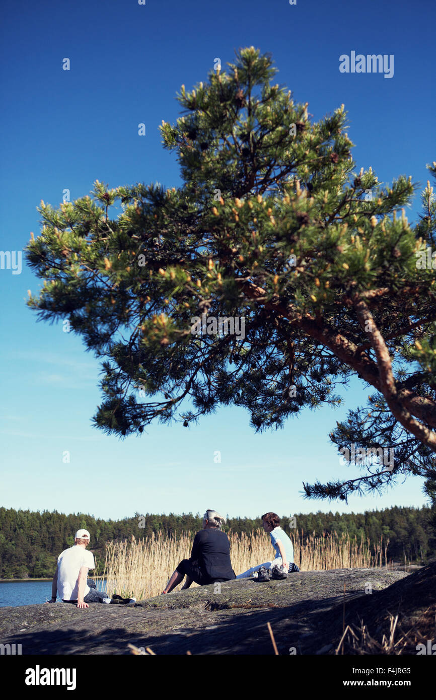 People relaxing in shade of tree Stock Photo - Alamy