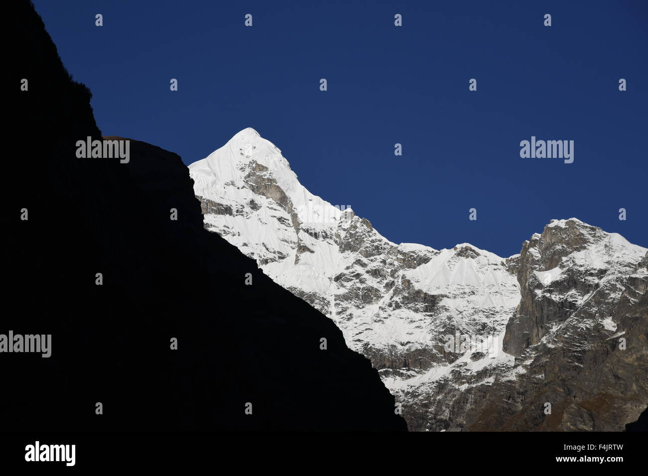 Neelkanth hi-res stock photography and images - Alamy