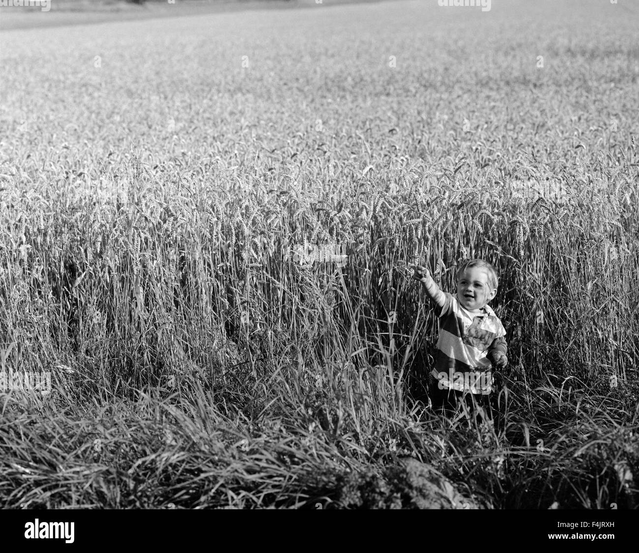 View field corn Black and White Stock Photos & Images - Alamy
