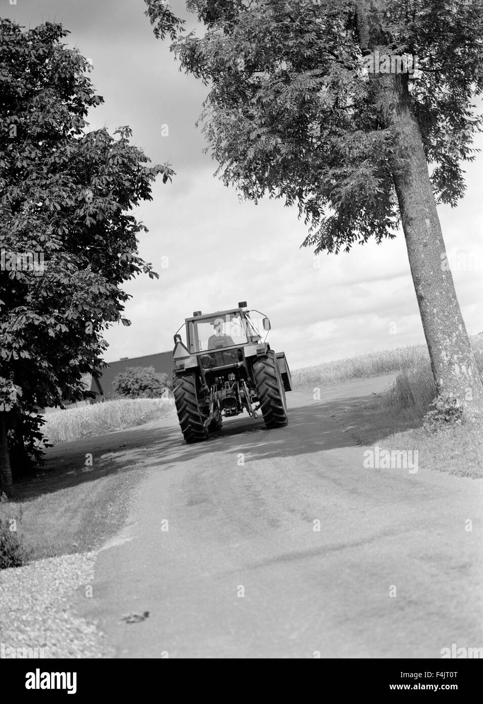 Tractor in farm Stock Photo - Alamy