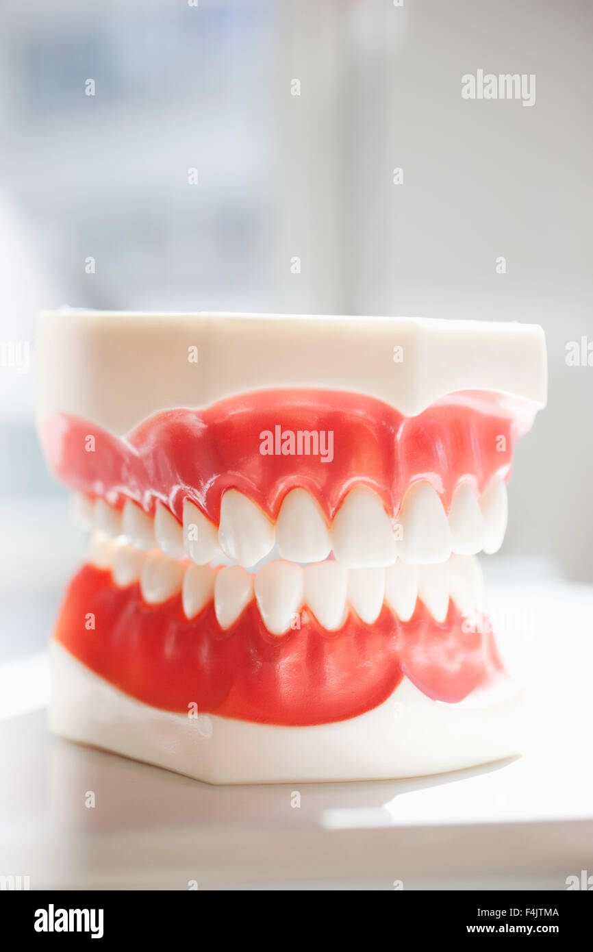 Dental Mold Stock Photos & Dental Mold Stock Images - Alamy