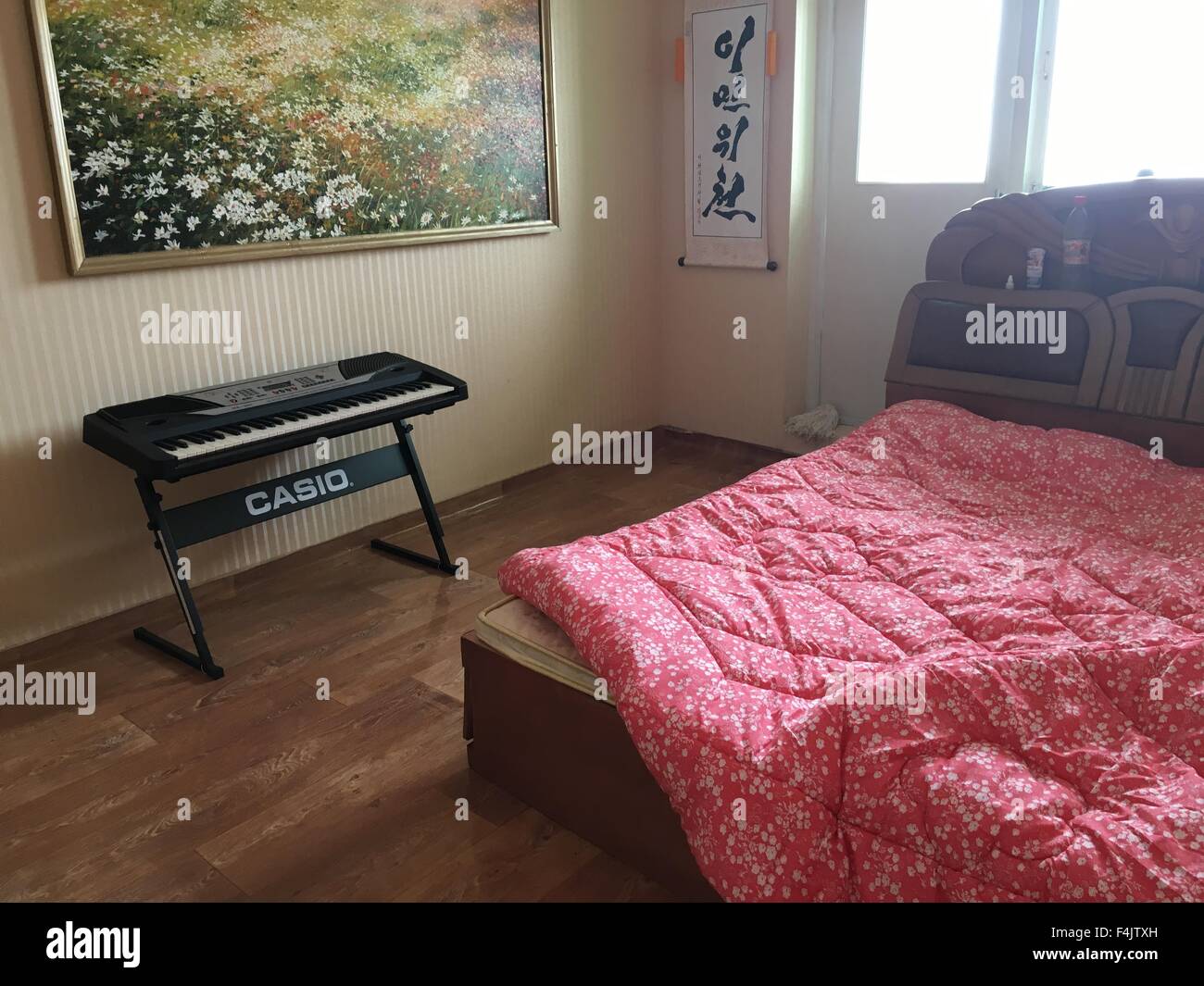 Pyongyang, North Korea. 12th Oct, 2015. Inside a farmer's apartment at ...