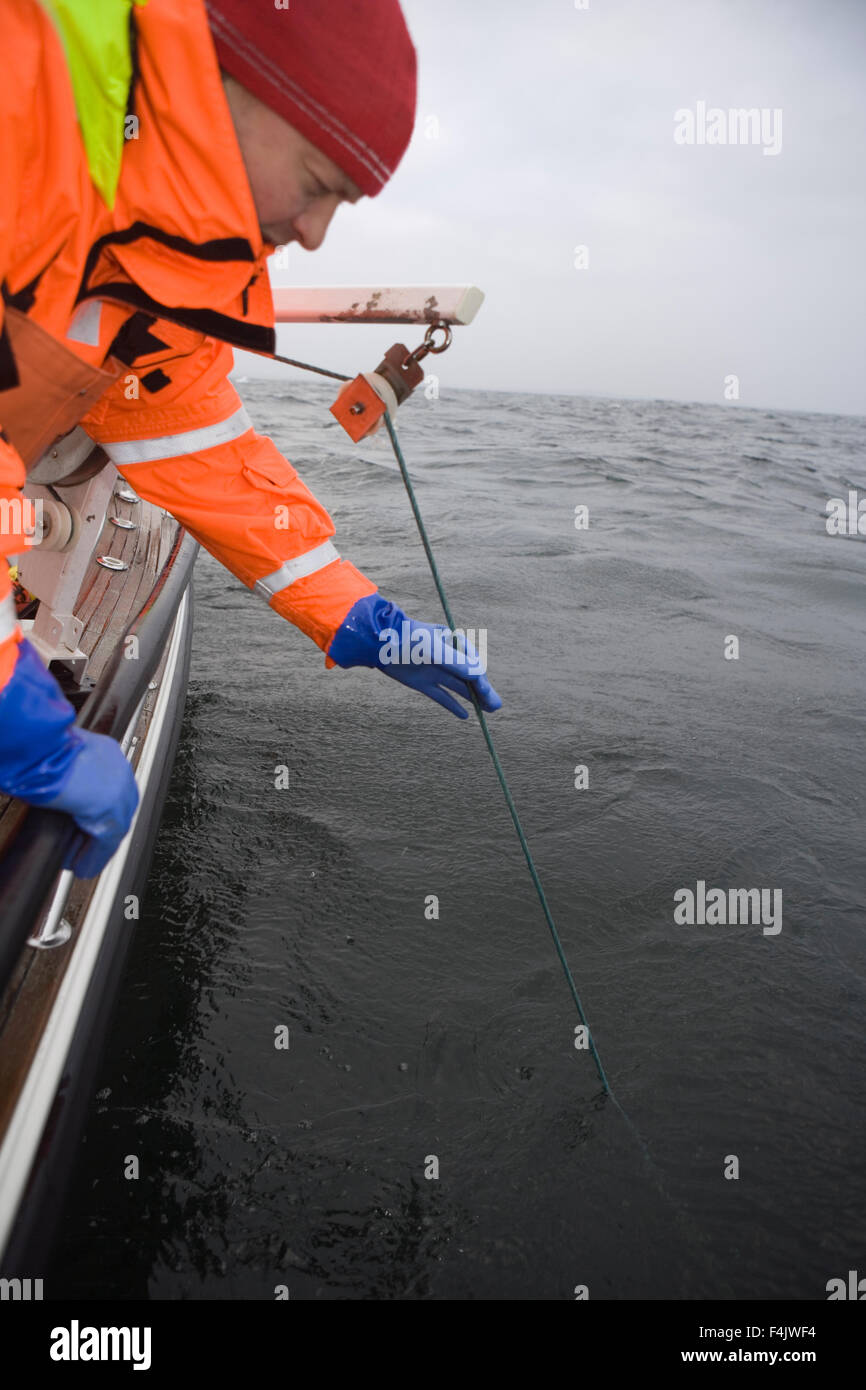 Fisherman lobster fishing Stock Photo - Alamy