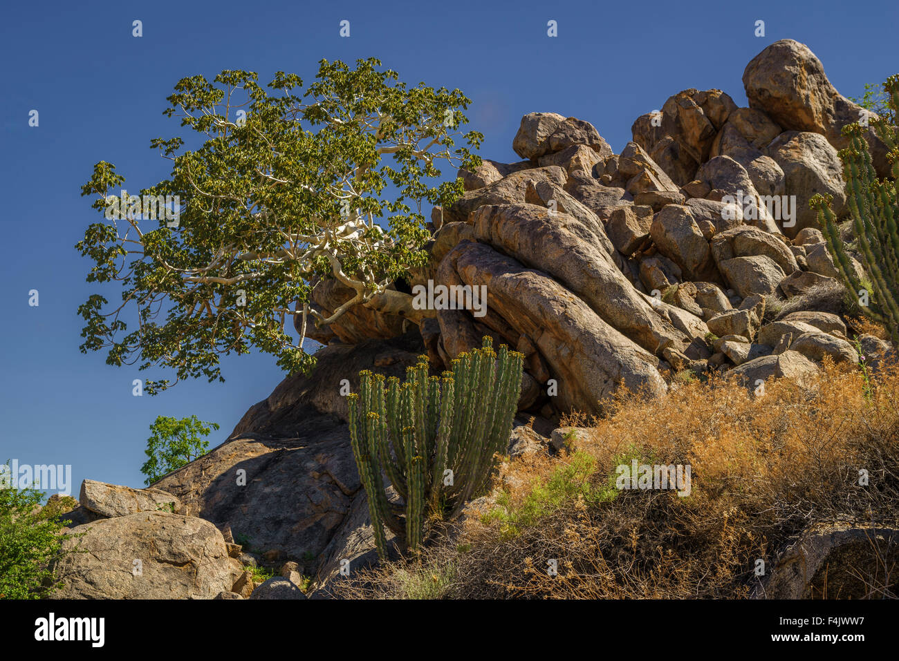 Rock landscape by Etendeka Mountain Camp, Namibia, Africa Stock Photo ...