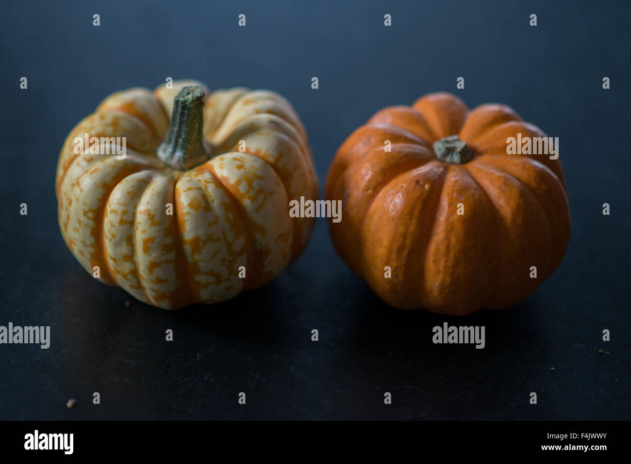 English squash hi-res stock photography and images - Alamy