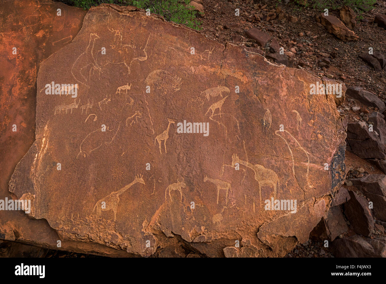 Petroglyph africa hi-res stock photography and images - Alamy