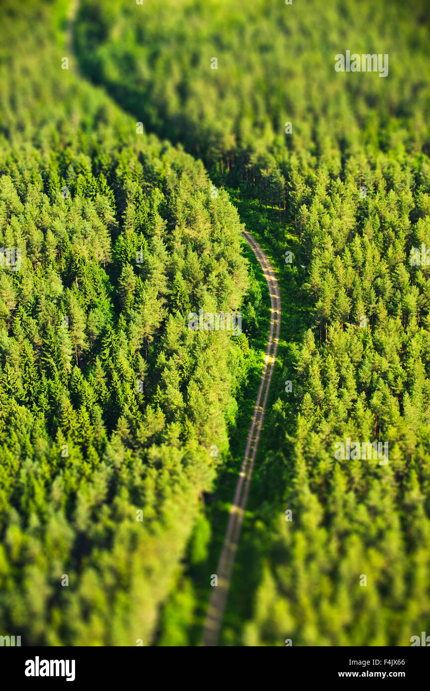 Road through forest Stock Photo - Alamy