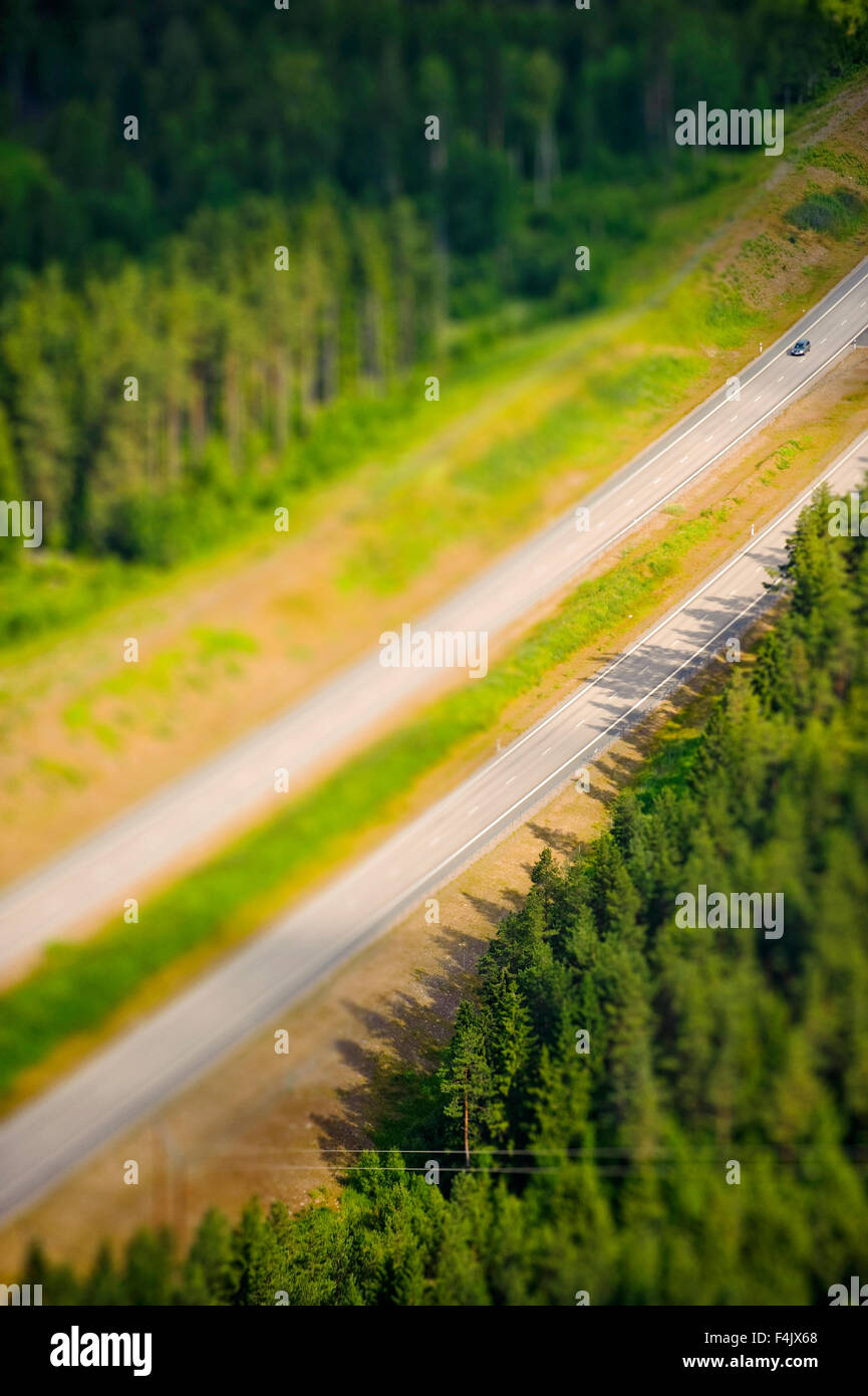 Road through forest Stock Photo - Alamy