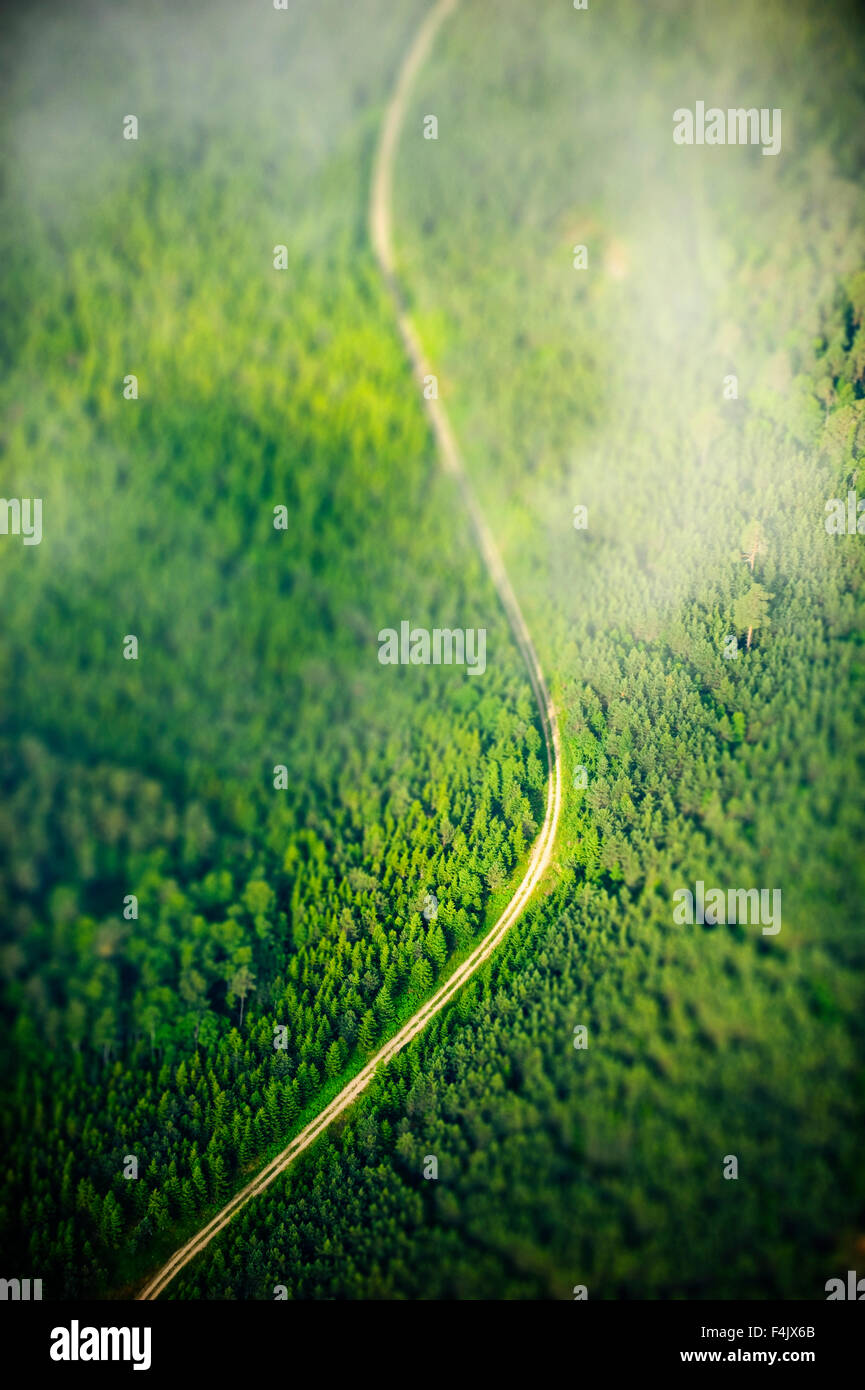 Road through forest Stock Photo - Alamy