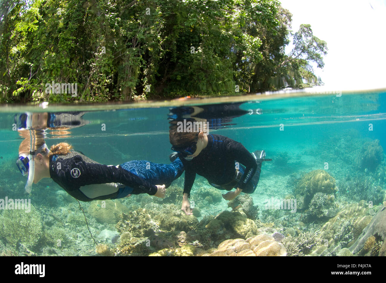 Restorf High Resolution Stock Photography and Images - Alamy