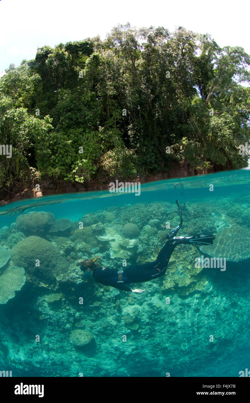 Snorkellers at Restorf Island Stock Photo - Alamy