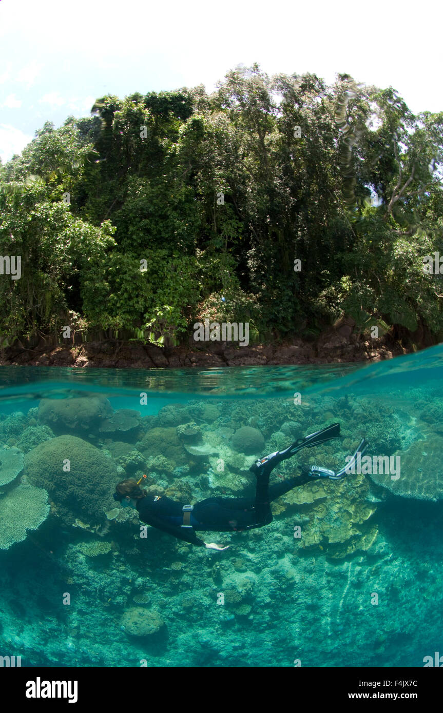 Restorf hi-res stock photography and images - Alamy