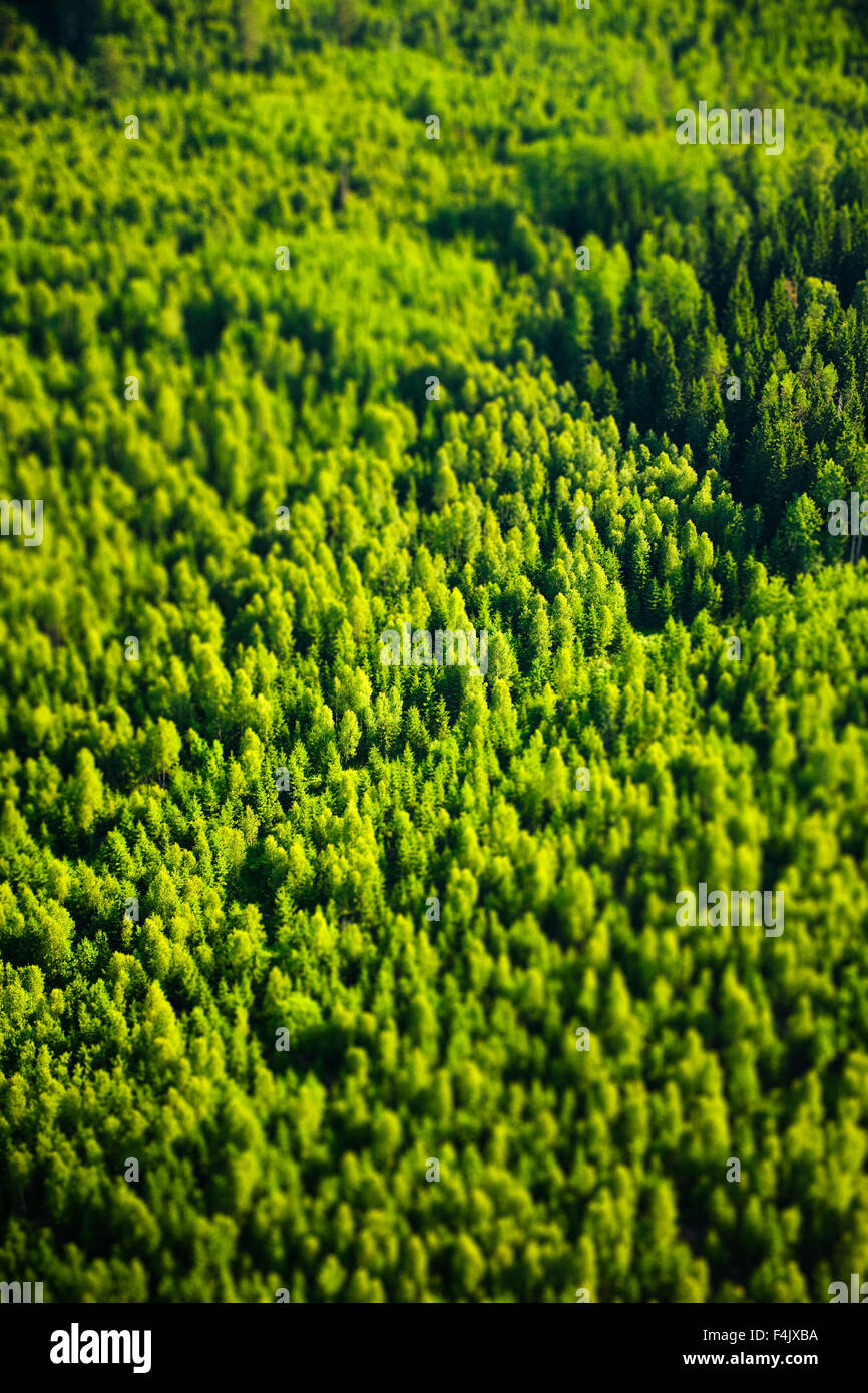 Aerial view dense forest mixed hi-res stock photography and images - Alamy