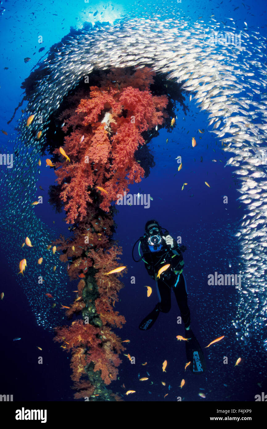 Artificial creatures hi-res stock photography and images - Alamy