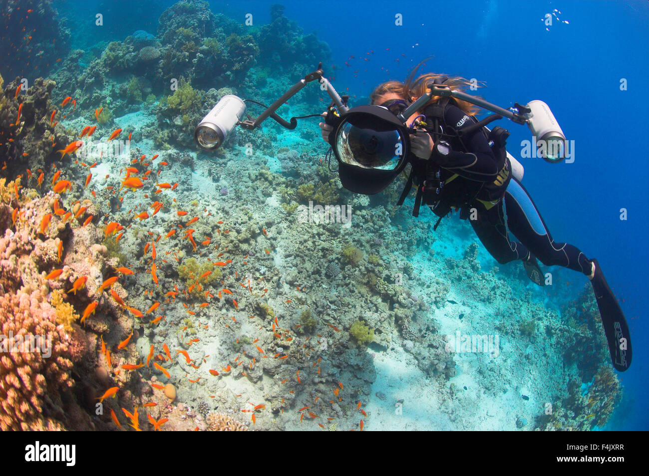Underwater photographer hi-res stock photography and images - Alamy