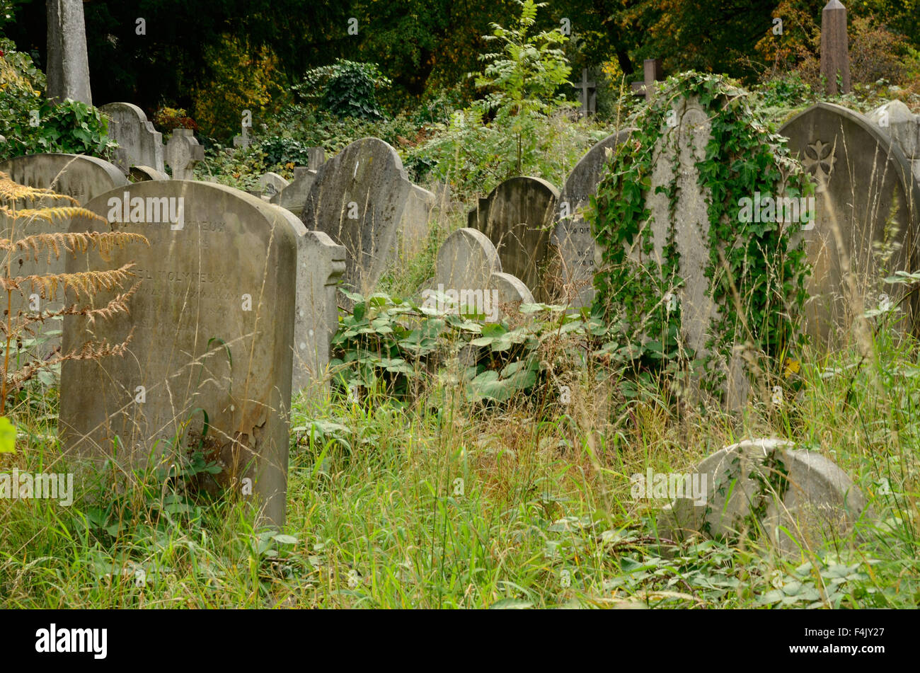 Overgrown cemetery hi-res stock photography and images - Alamy