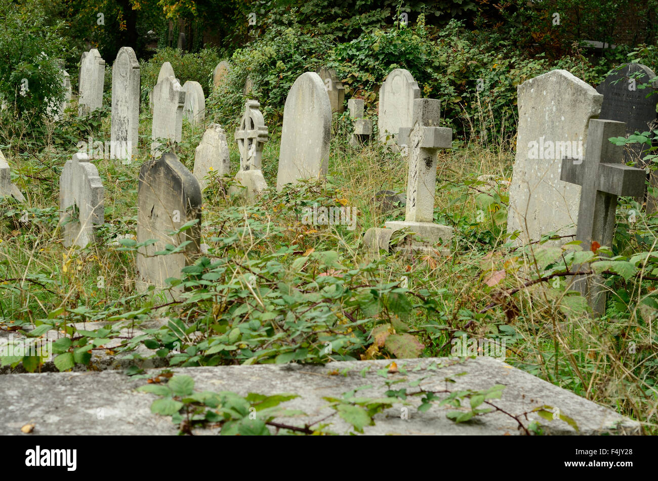 An overgrown graveyard Stock Photo - Alamy