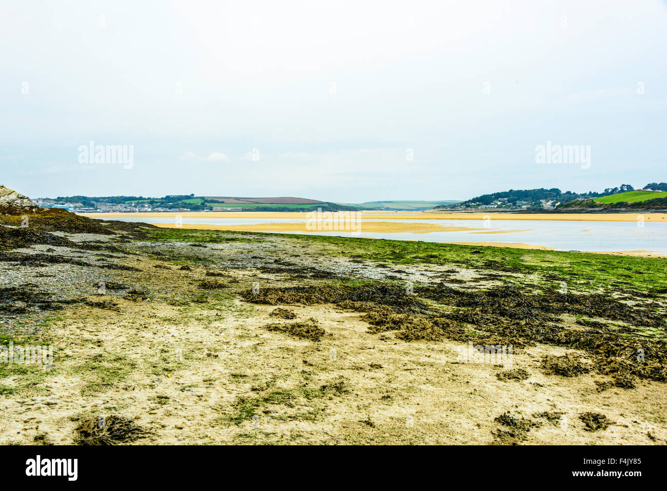 Views along the Camel Trail from Padstow to Wadebridge and Rock Stock ...
