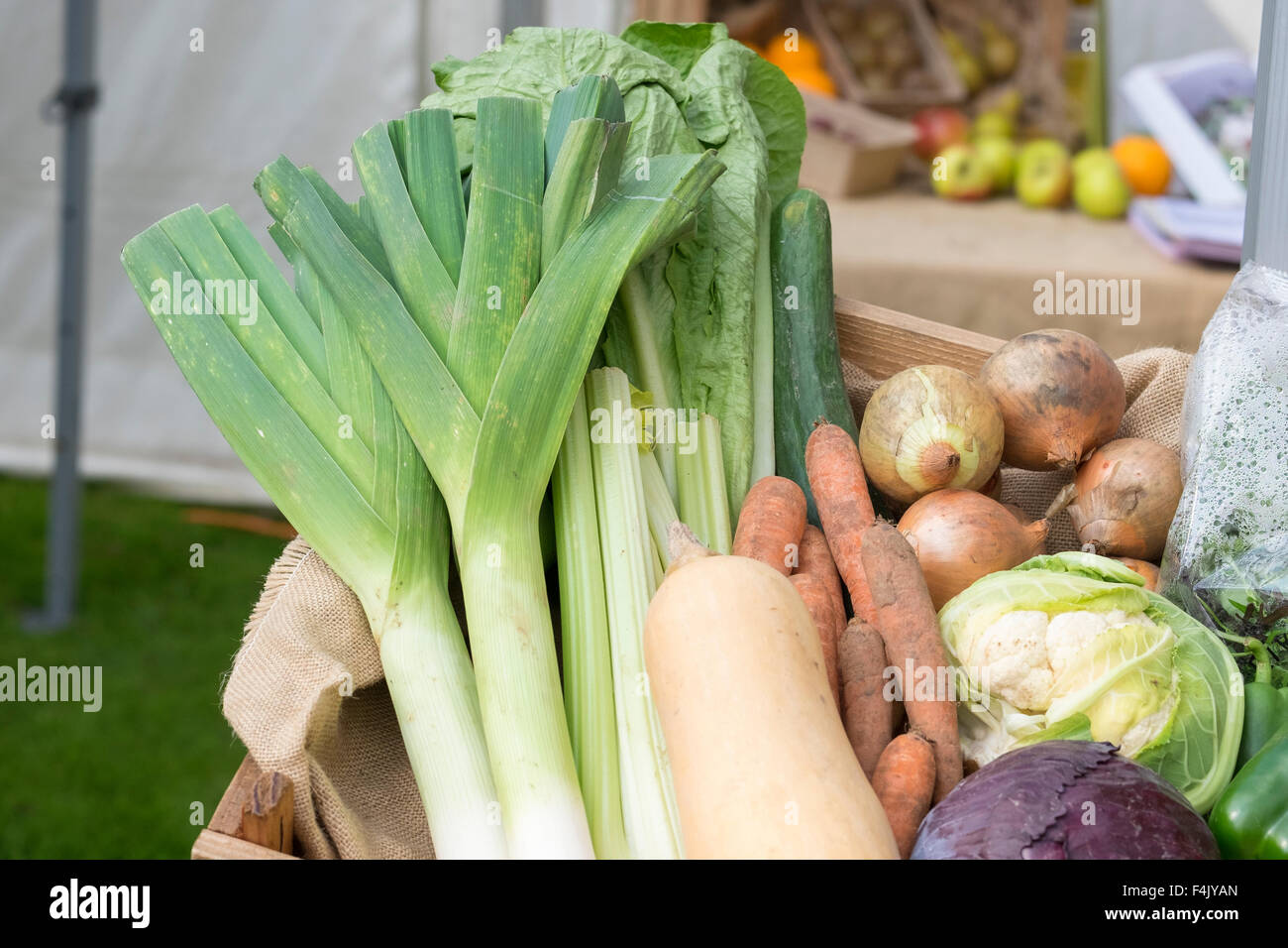 Winter veg box hi-res stock photography and images - Alamy
