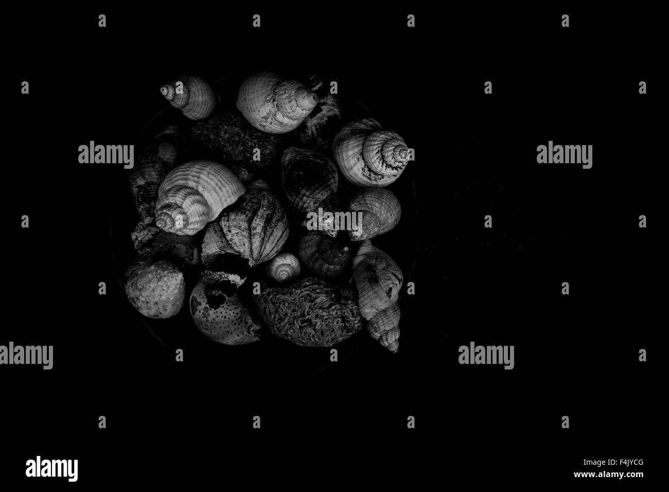 Overhead bowl Black and White Stock Photos & Images - Alamy