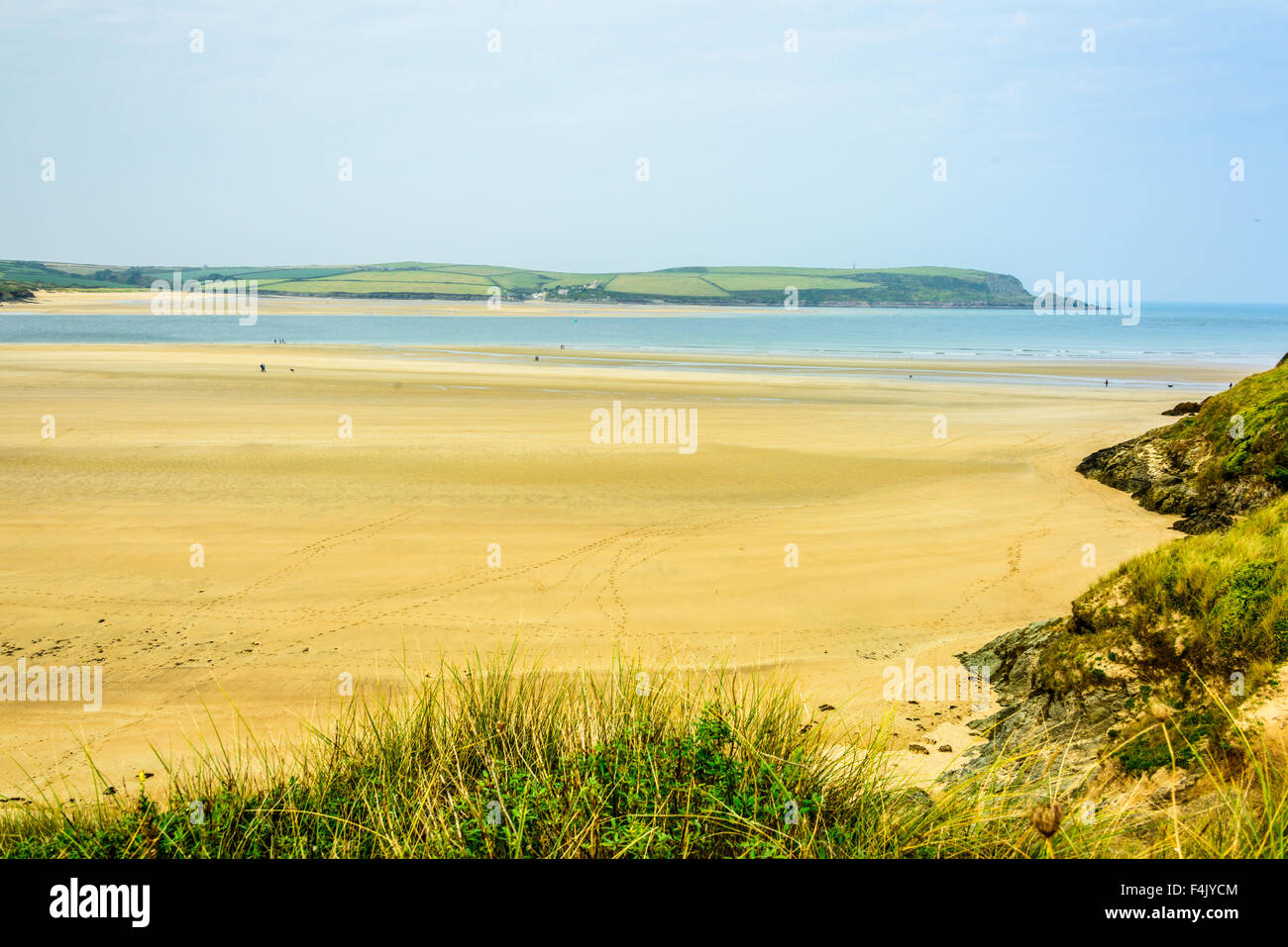 Views along the Camel Trail from Padstow to Wadebridge and Rock Stock ...