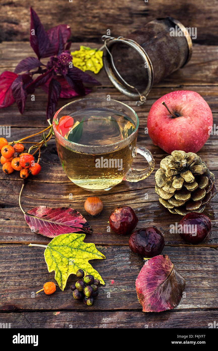 Autumn tea party Stock Photo - Alamy