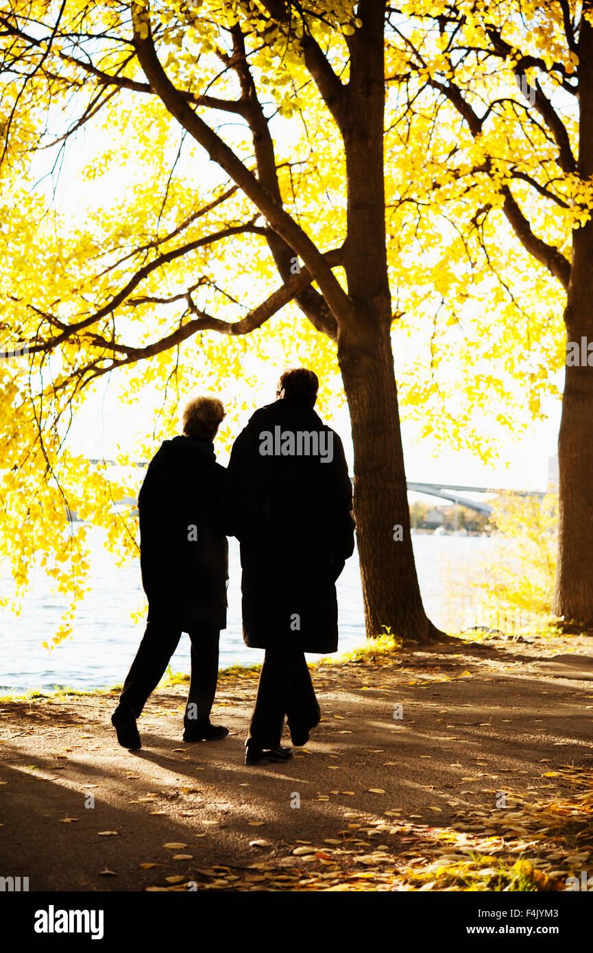 Man walking under trees on hi-res stock photography and images - Alamy
