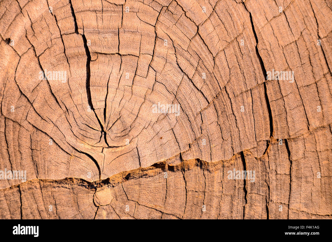 Wood Surface Texture Stock Photo - Alamy