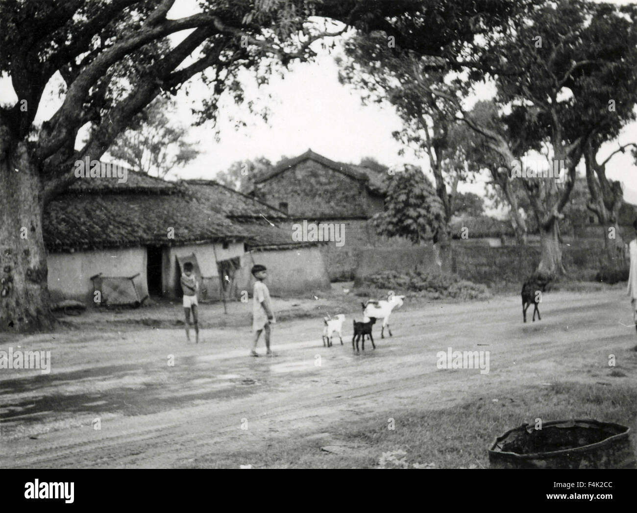 Carriageway at Sindri, India Stock Photo - Alamy