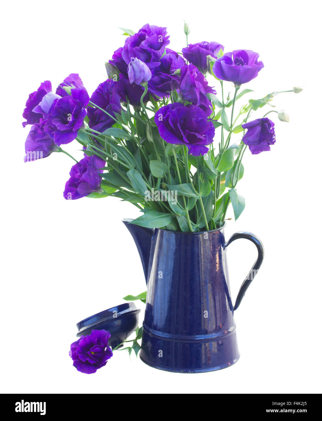 bouquet of violet eustoma flowers Stock Photo - Alamy
