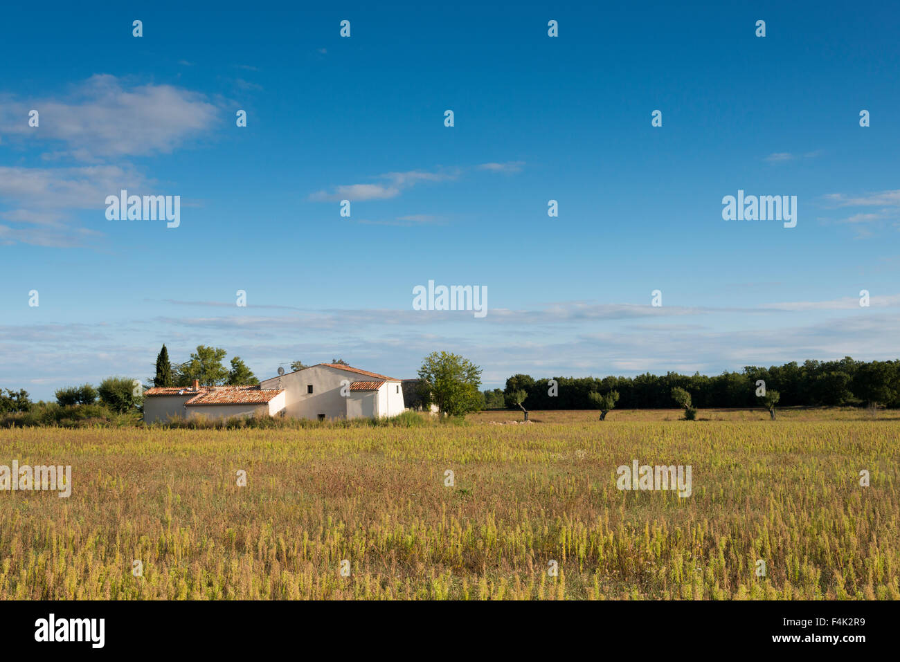 French country farm house hi-res stock photography and images - Alamy