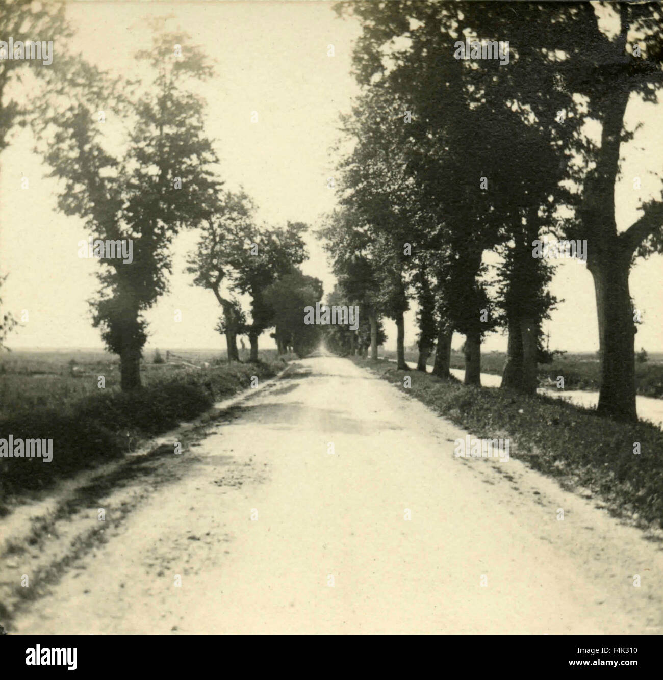 Via Appia between Terracina and Cisterna, Italy Stock Photo - Alamy