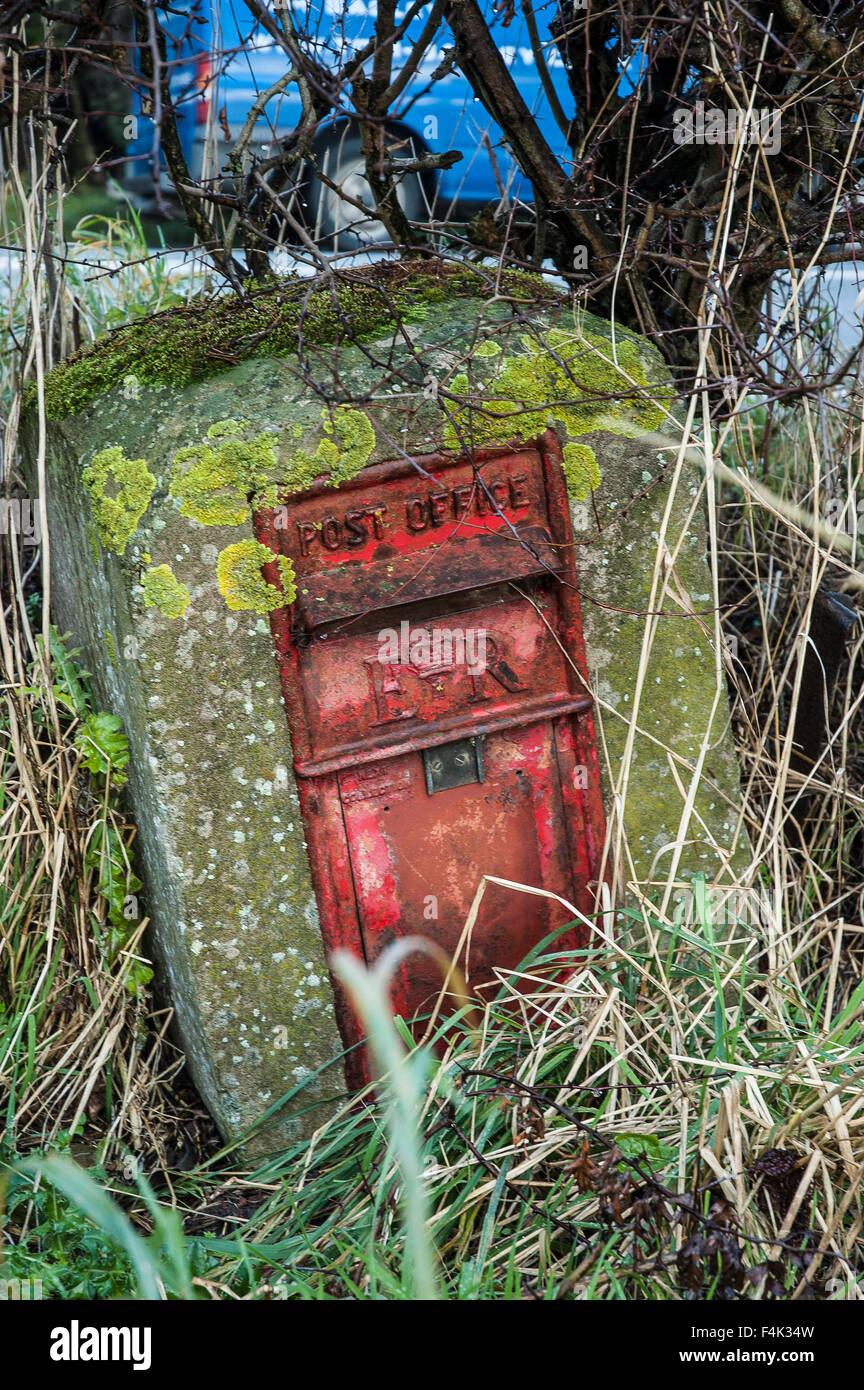 Letter e and hedge hi-res stock photography and images - Alamy